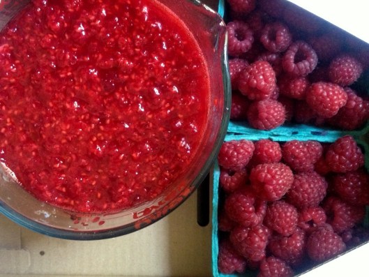 Raspberry Jam | Emmy Cooks